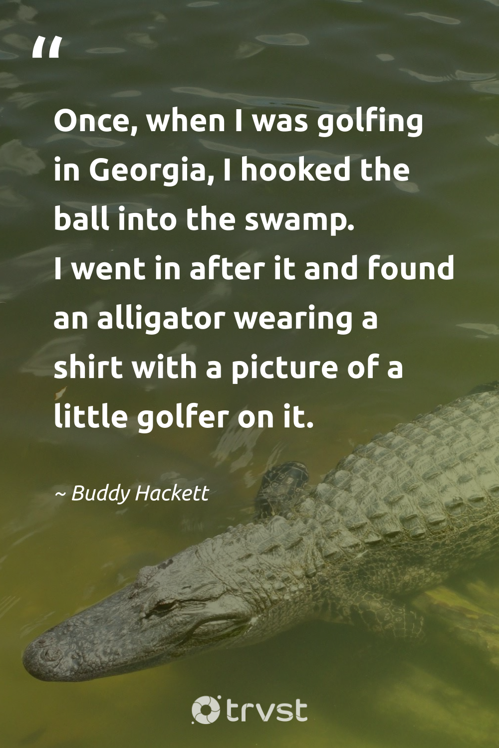 20 Alligator Quotes Revealing Power And Wisdom