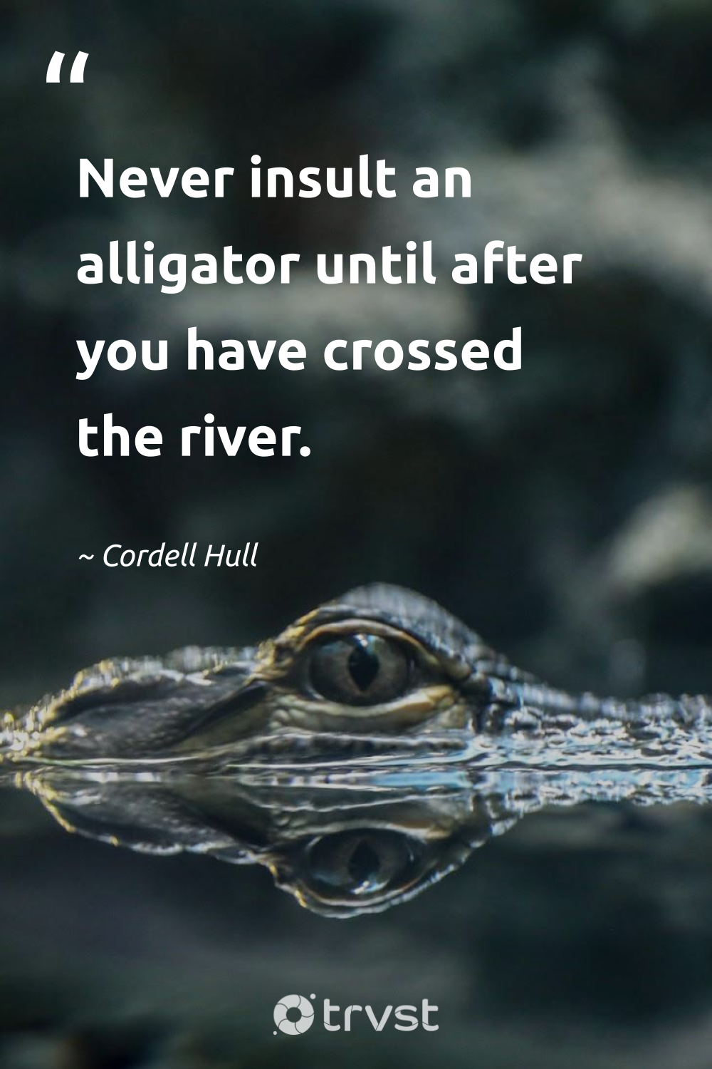 20 Alligator Quotes Revealing Power And Wisdom