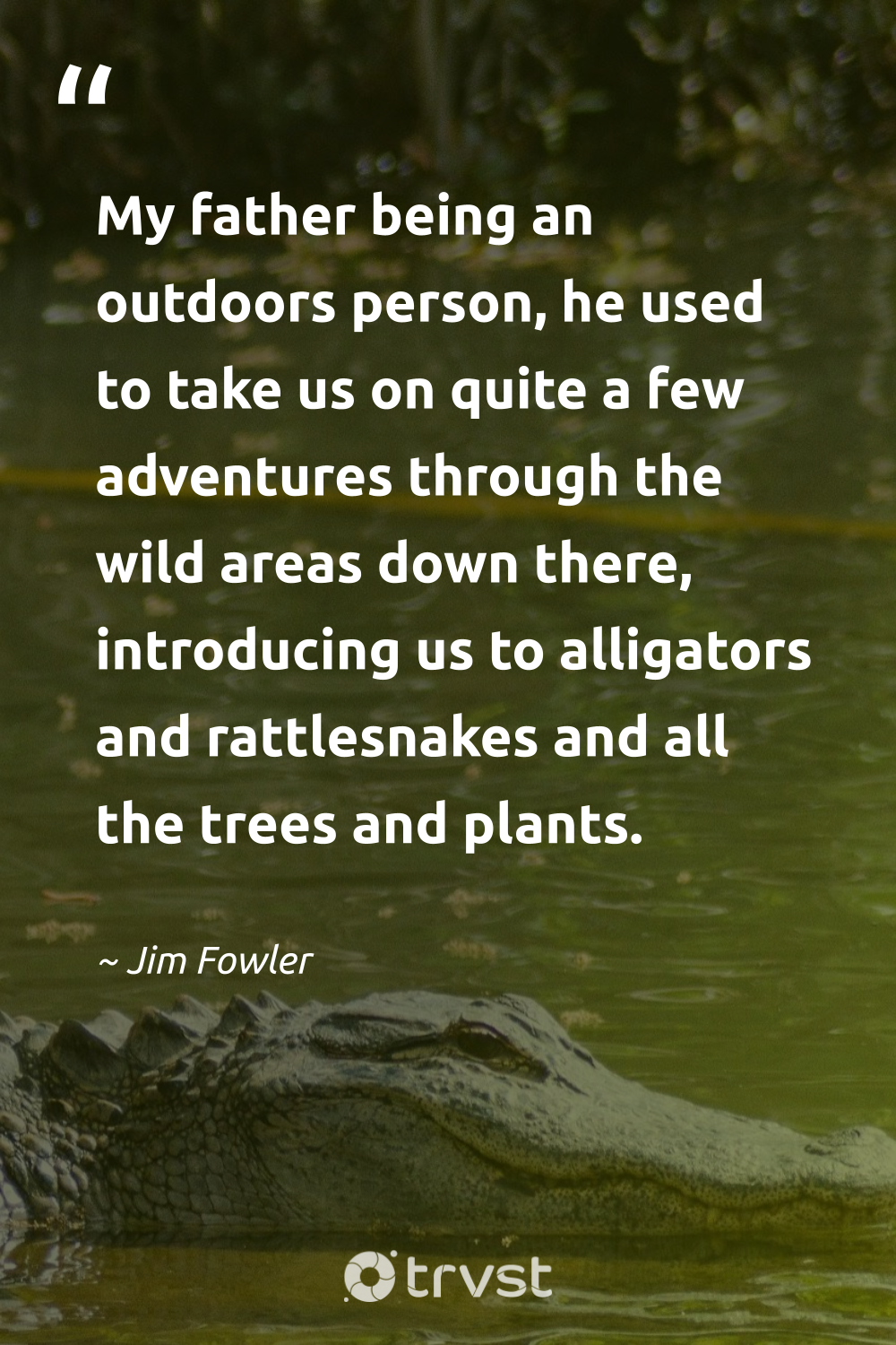 20 Alligator Quotes Revealing Power And Wisdom