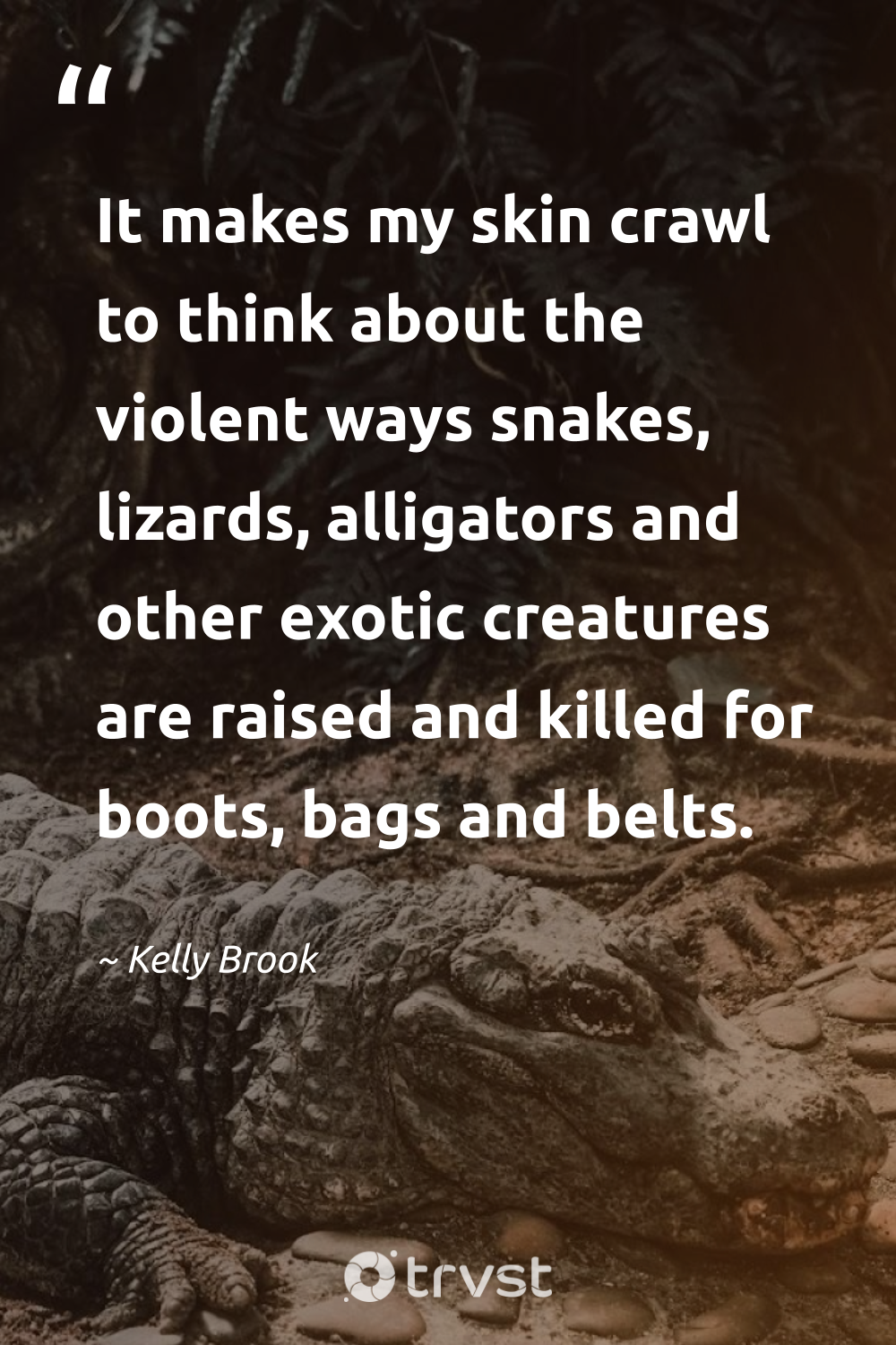 20 Alligator Quotes Revealing Power And Wisdom