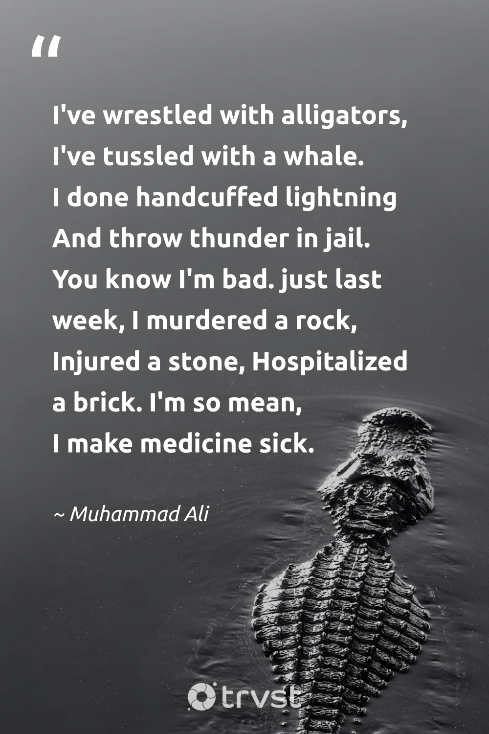 20 Alligator Quotes Revealing Power And Wisdom