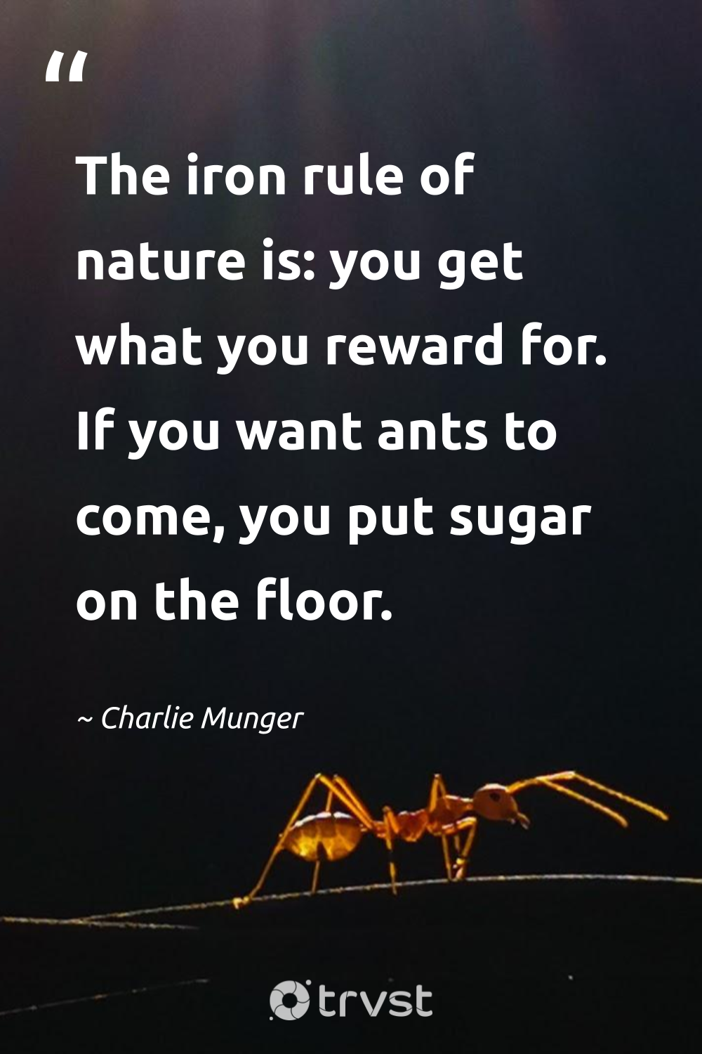 44 Ant Quotes About The Diligent Insects