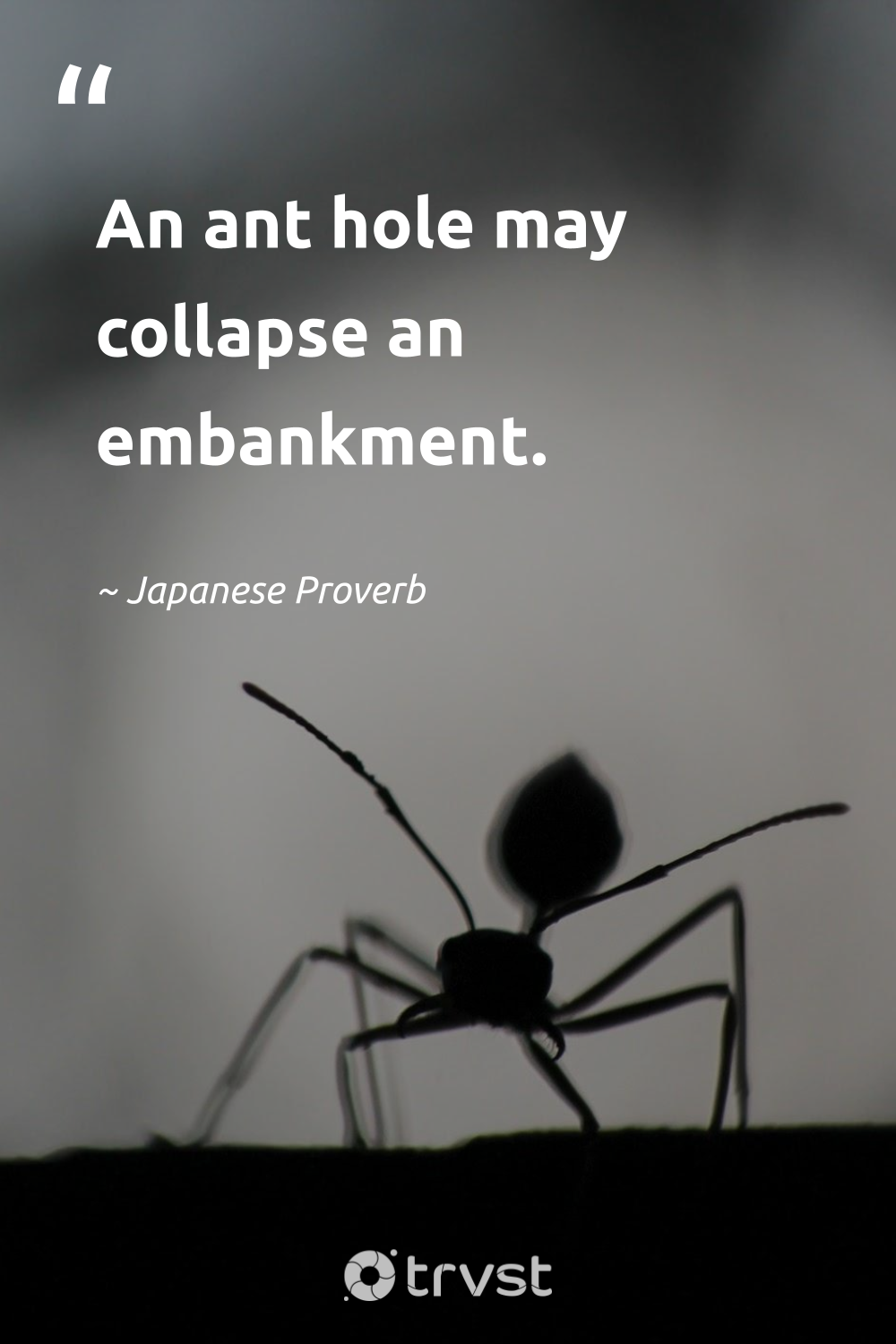 44 Ant Quotes About The Diligent Insects