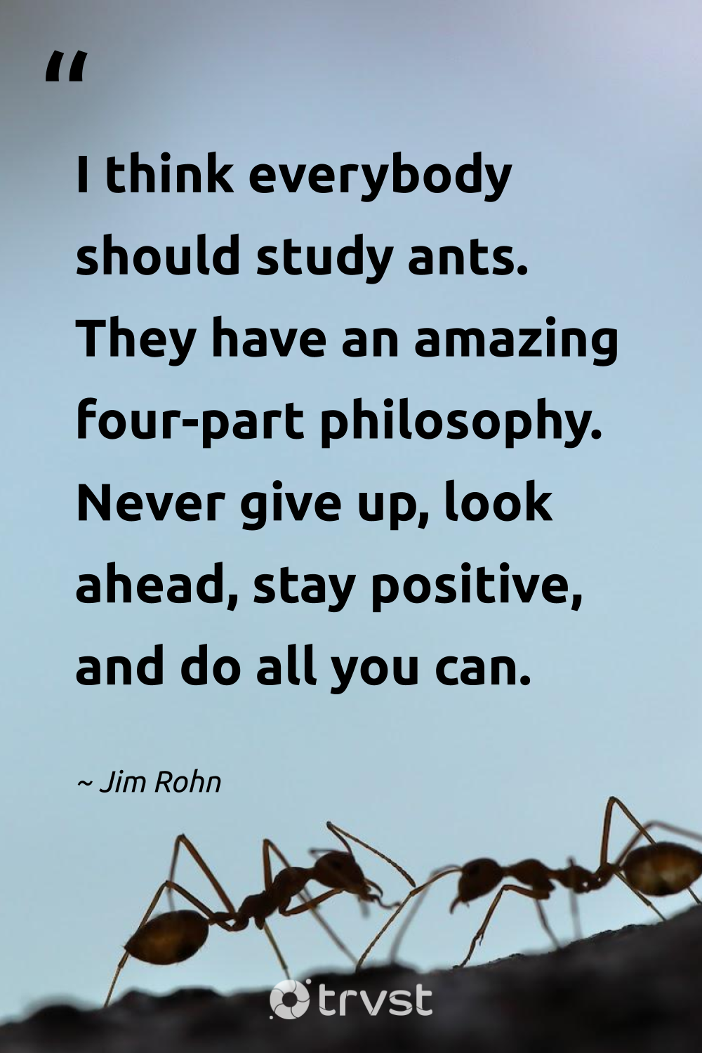 44 Ant Quotes About The Diligent Insects