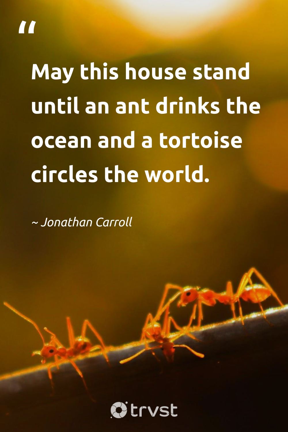 44 Ant Quotes About The Diligent Insects