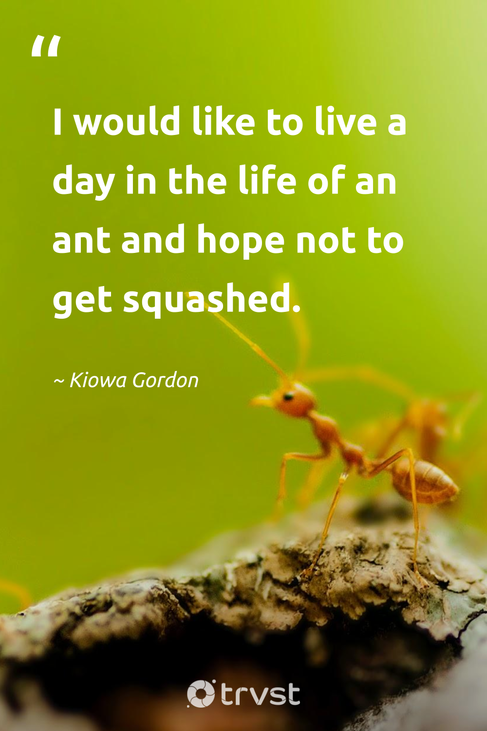 44 Ant Quotes About The Diligent Insects