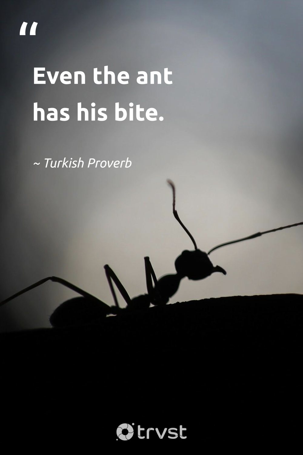 44 Ant Quotes About The Diligent Insects