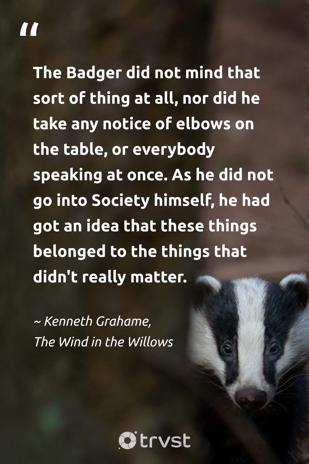 10 Badger Quotes About The Feisty Mustelids