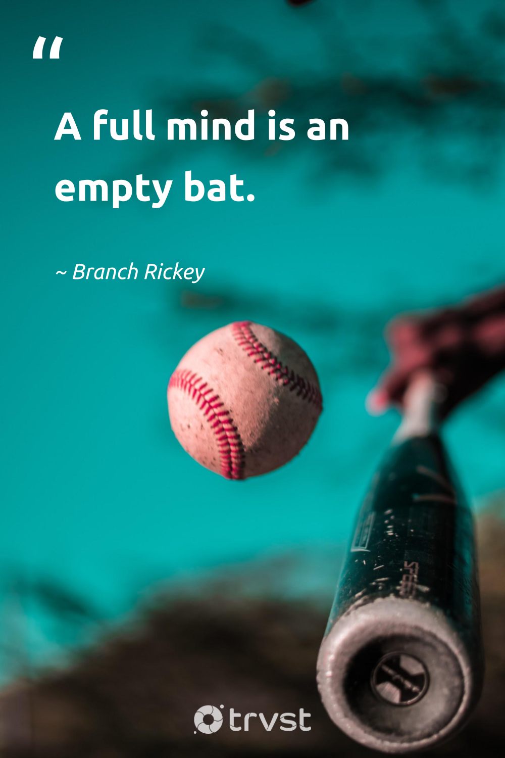 22 Bat Quotes About The Misunderstood Winged Mammals