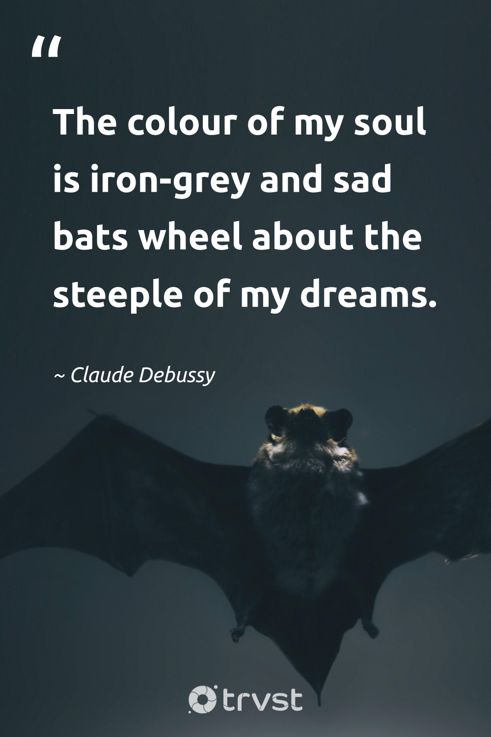 22 Bat Quotes About The Misunderstood Winged Mammals