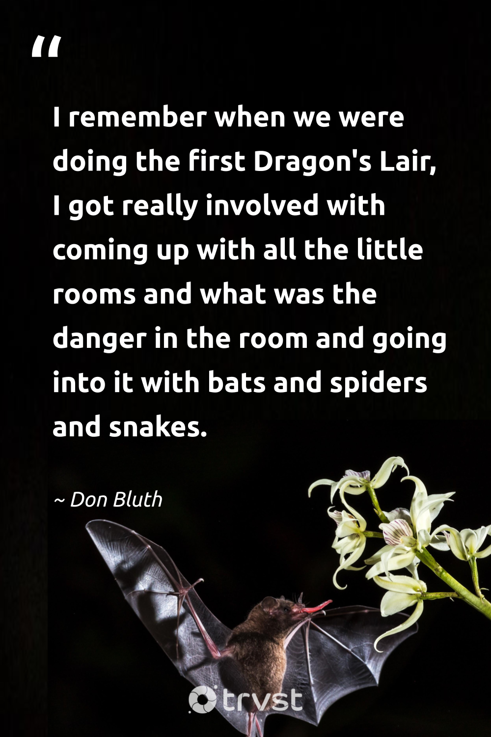 22 Bat Quotes About The Misunderstood Winged Mammals