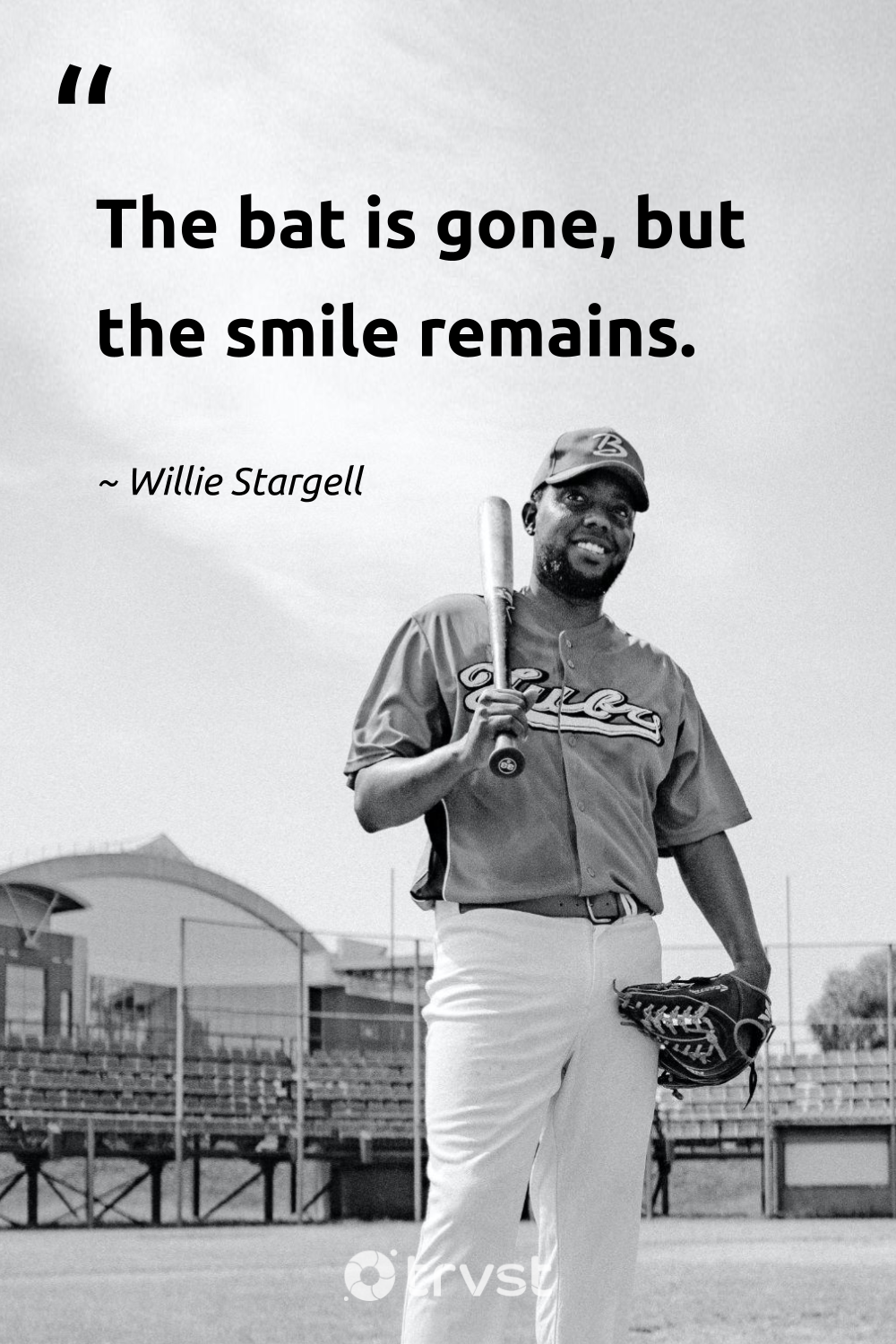 22 Bat Quotes About The Misunderstood Winged Mammals