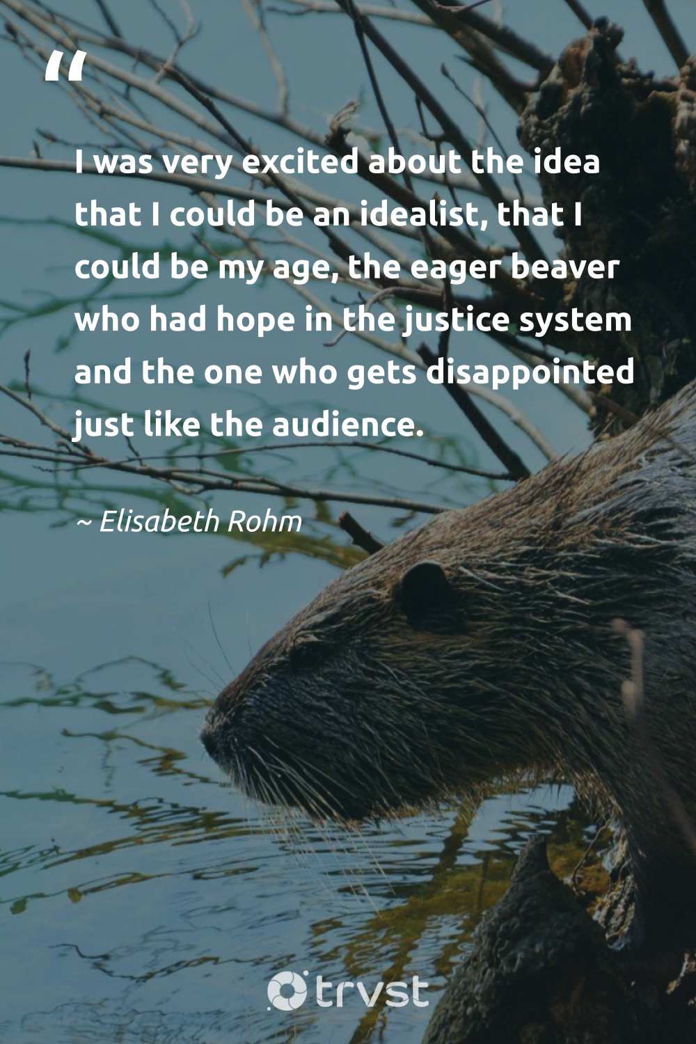 12 Beaver Quotes to Unleash Your Industrious Self