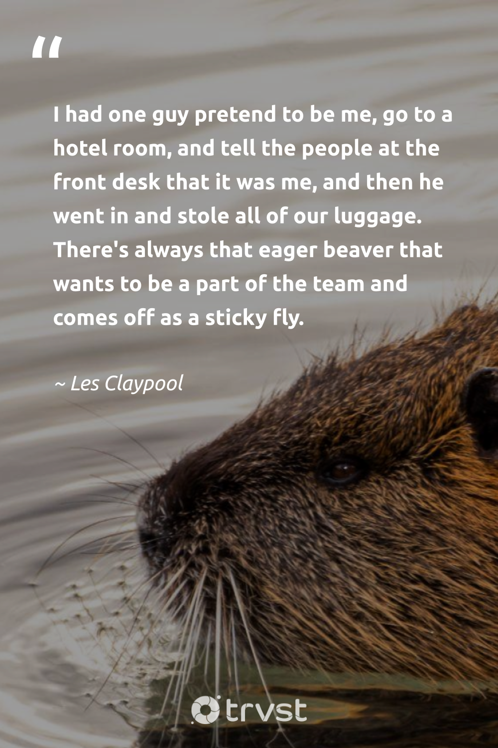 12 Beaver Quotes to Unleash Your Industrious Self