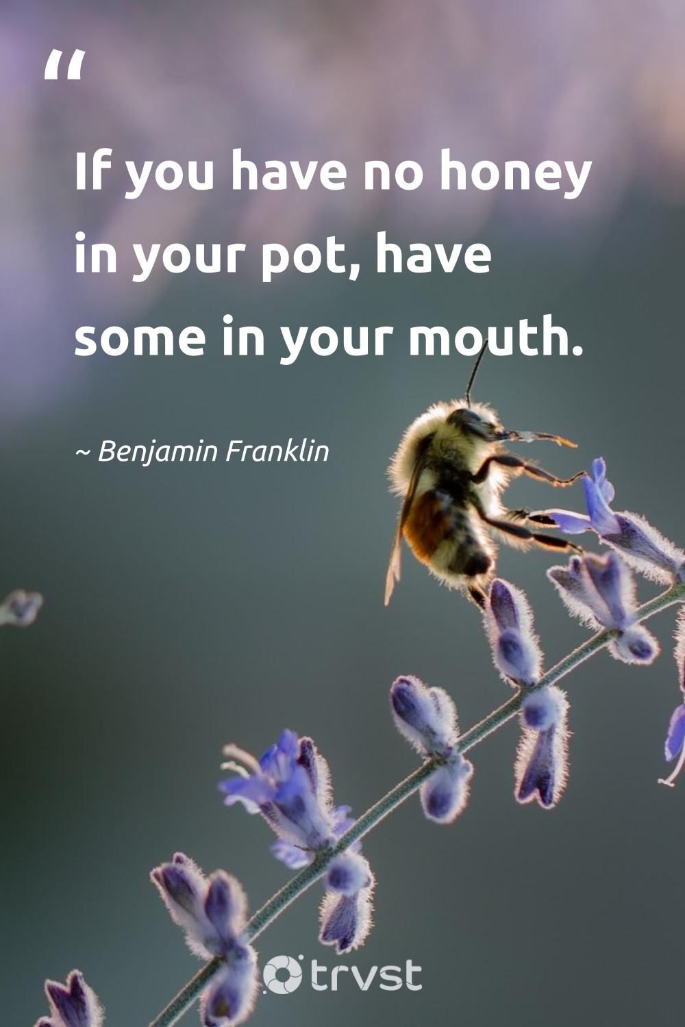 68 Bee Quotes Buzzing With Lessons And Reminders (2025)