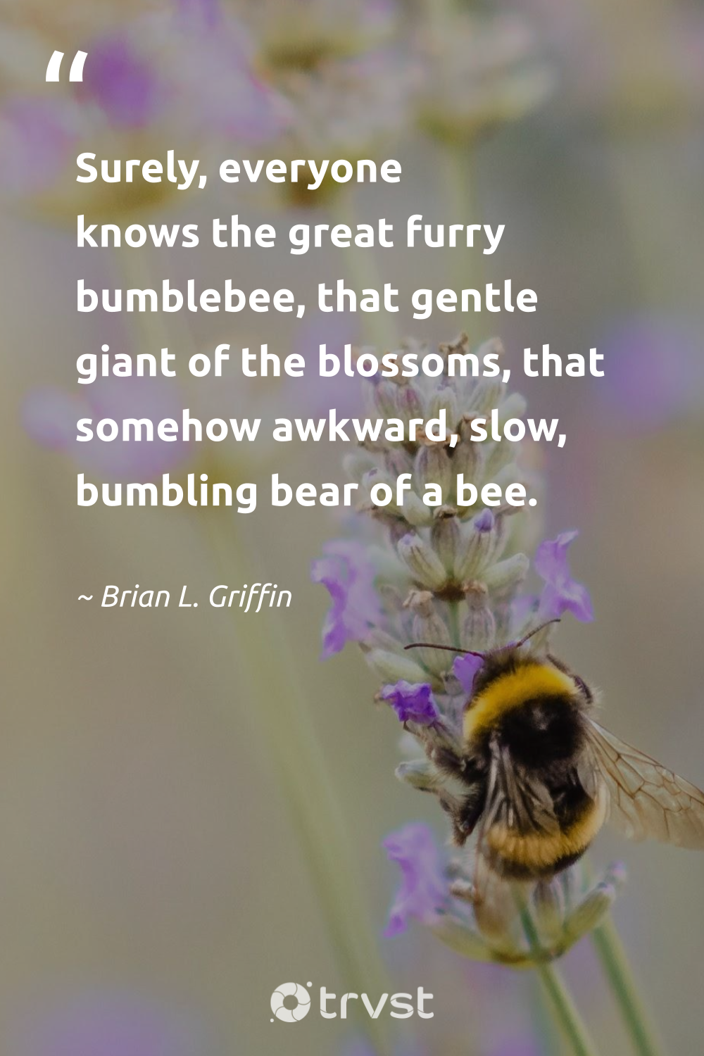 68 Bee Quotes Buzzing With Lessons And Reminders (2025)