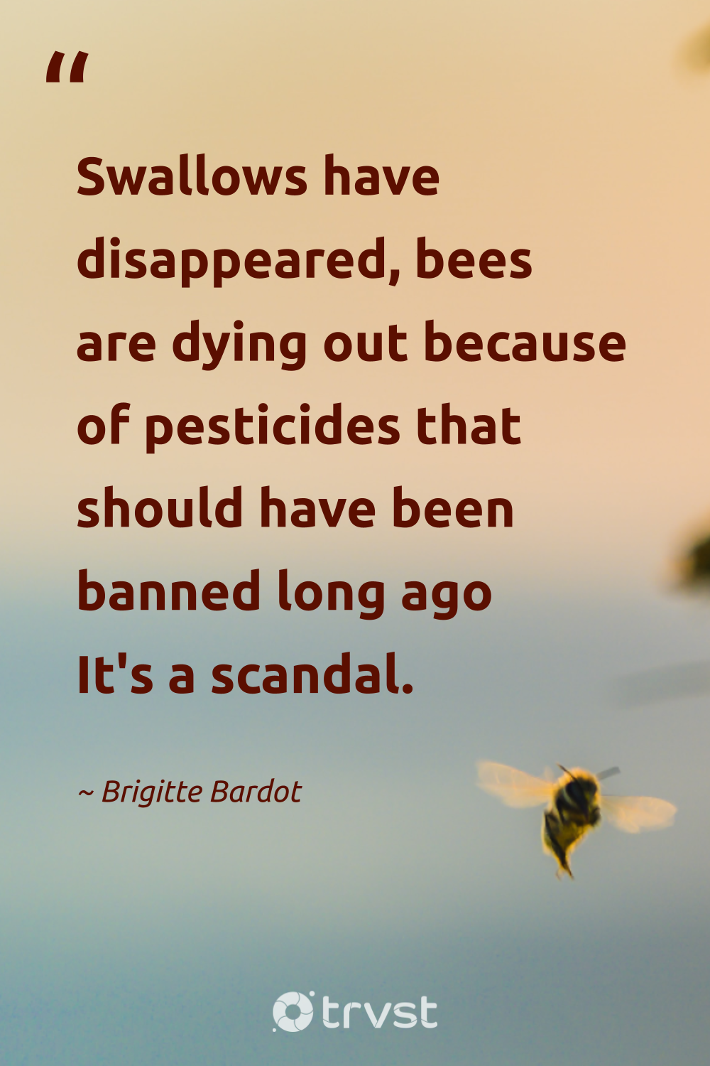 68 Bee Quotes Buzzing With Lessons And Reminders (2025)