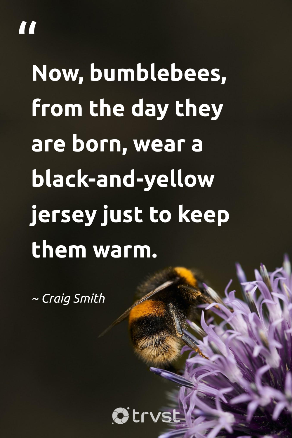 68 Bee Quotes Buzzing With Lessons And Reminders (2025)
