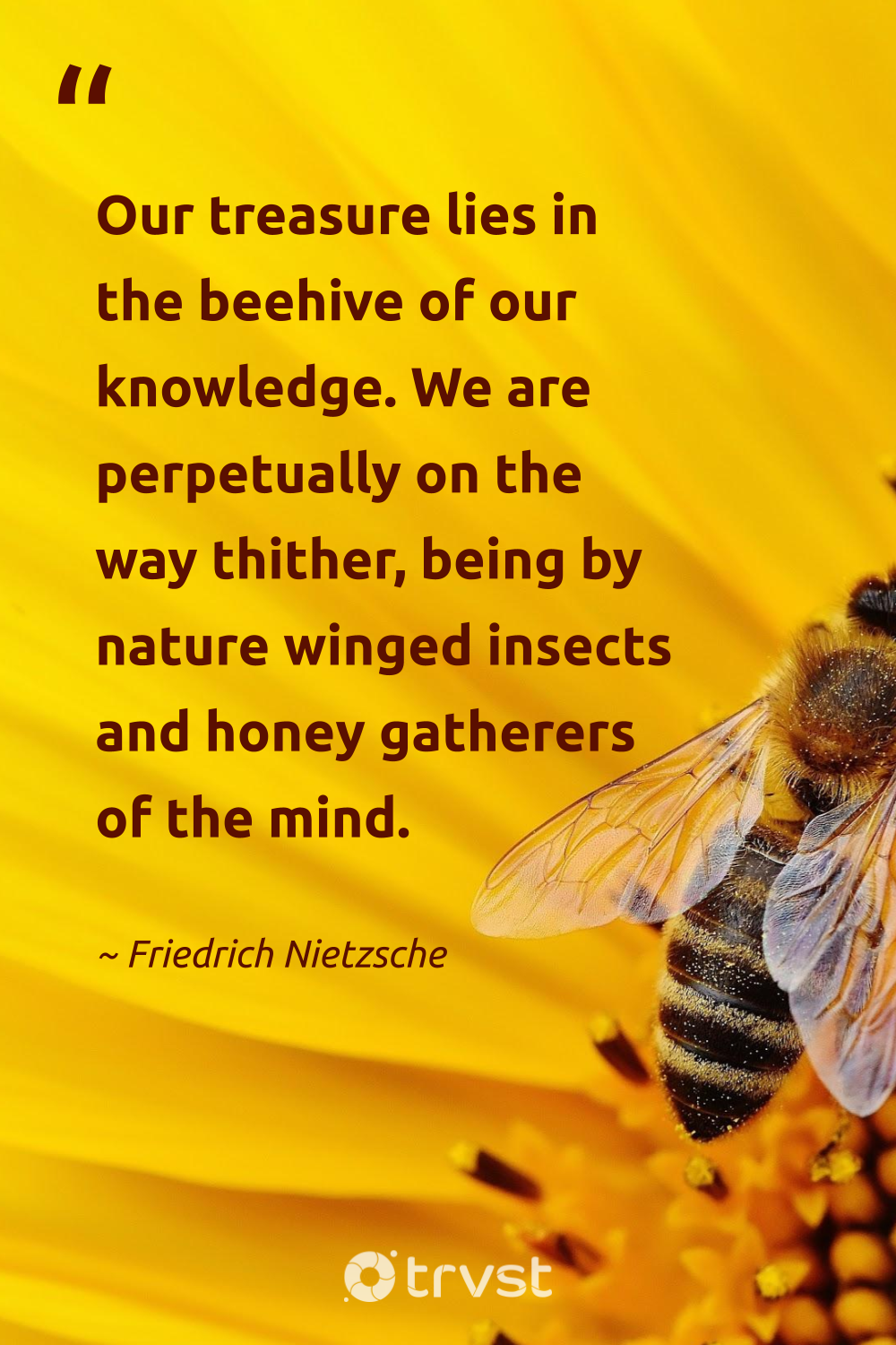 68 Bee Quotes Buzzing With Lessons And Reminders (2025)