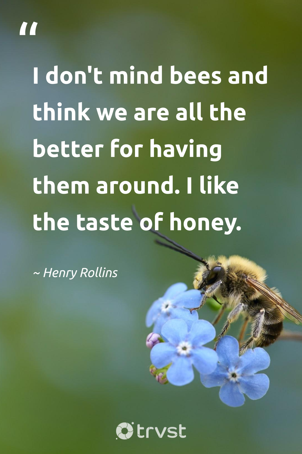 68 Bee Quotes Buzzing With Lessons And Reminders (2025)