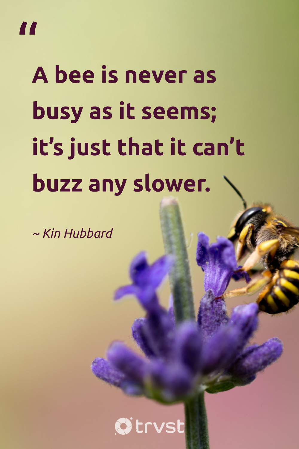 68 Bee Quotes Buzzing With Lessons And Reminders (2025)