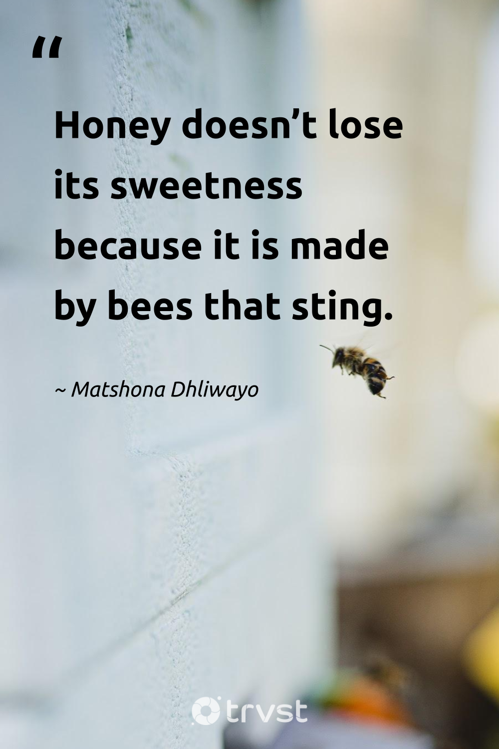 68 Bee Quotes Buzzing With Lessons And Reminders (2025)