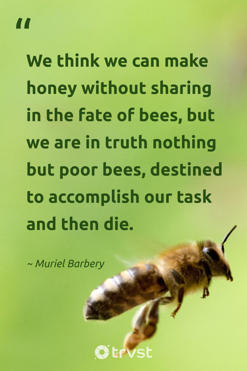 68 Bee Quotes Buzzing With Lessons And Reminders (2025)
