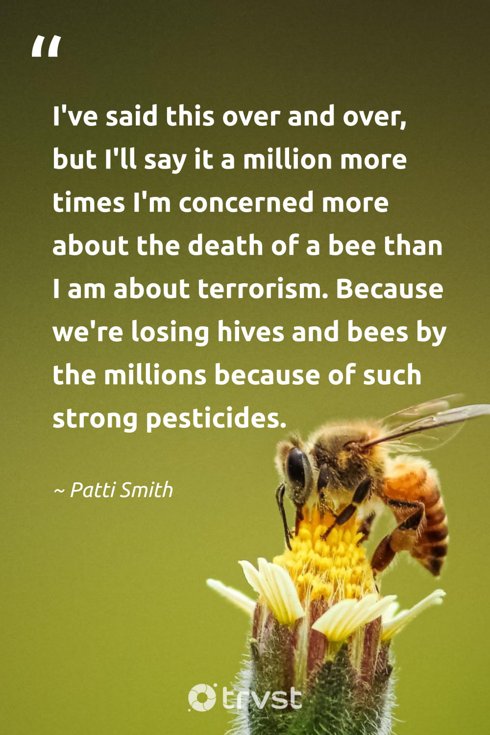 68 Bee Quotes Buzzing With Lessons And Reminders (2025)