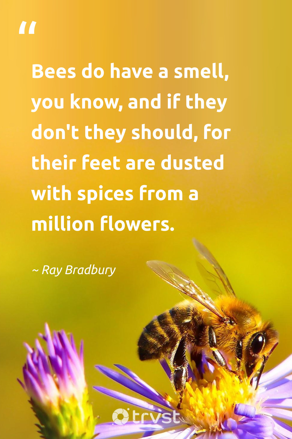 68 Bee Quotes Buzzing With Lessons And Reminders (2025)
