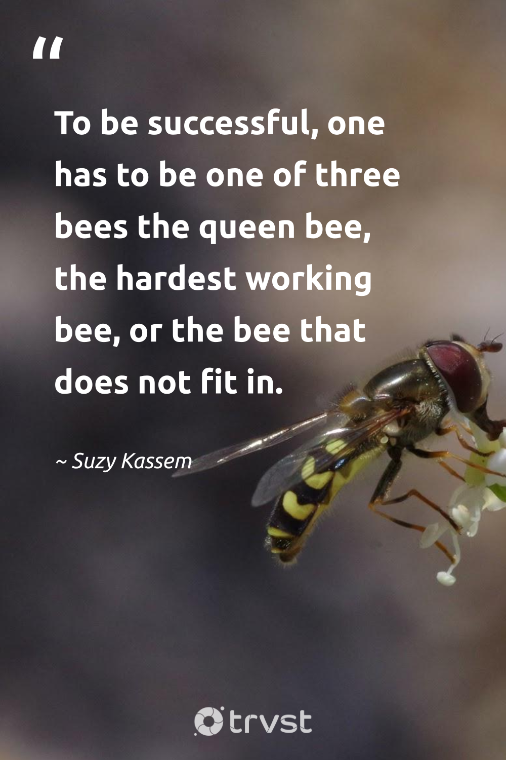 68 Bee Quotes Buzzing With Lessons And Reminders (2025)