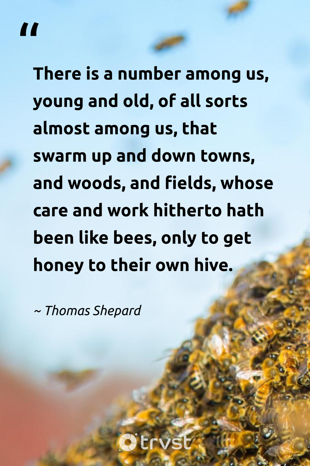 68 Bee Quotes Buzzing With Lessons And Reminders (2025)