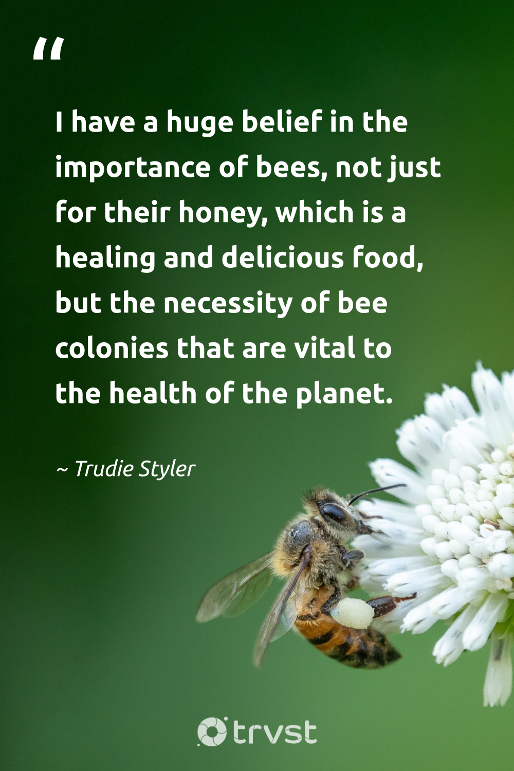 68 Bee Quotes Buzzing With Lessons And Reminders (2025)