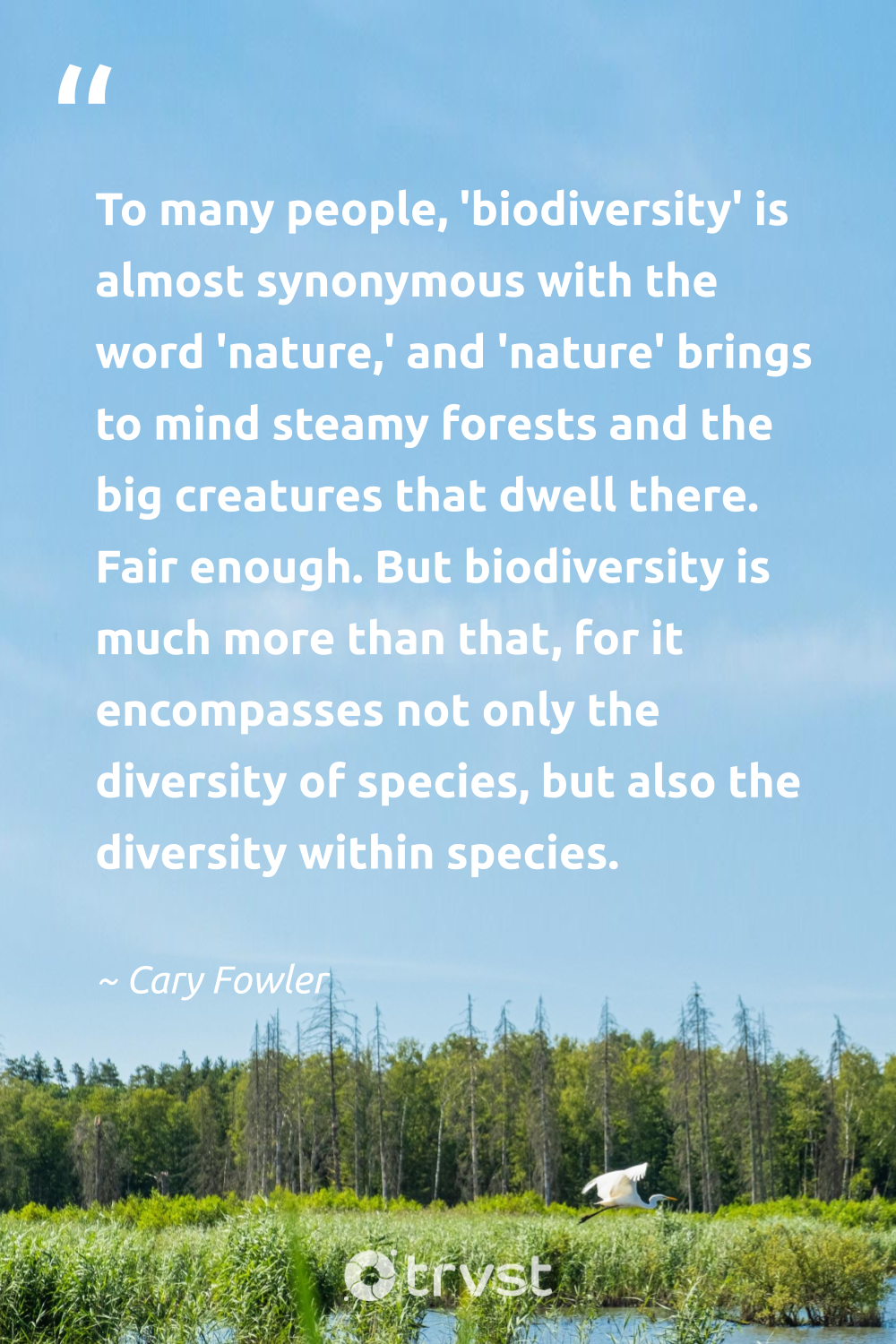 40 Biodiversity Quotes Celebrating And Protecting All Life