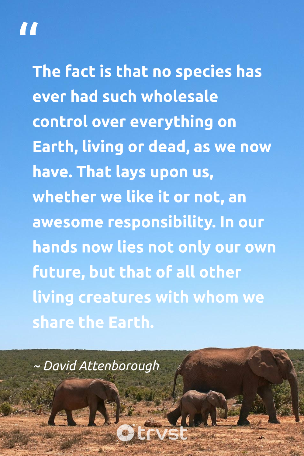 40 Biodiversity Quotes Celebrating And Protecting All Life