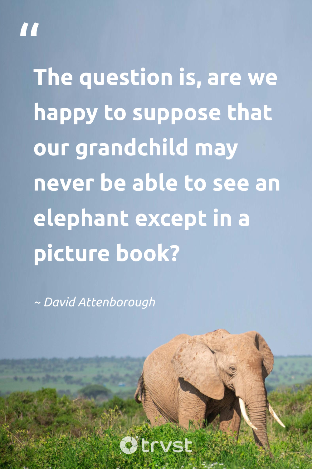 40 Biodiversity Quotes Celebrating And Protecting All Life