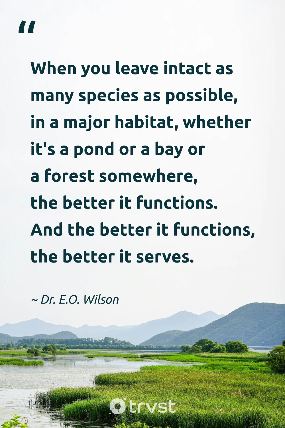 40 Biodiversity Quotes Celebrating And Protecting All Life