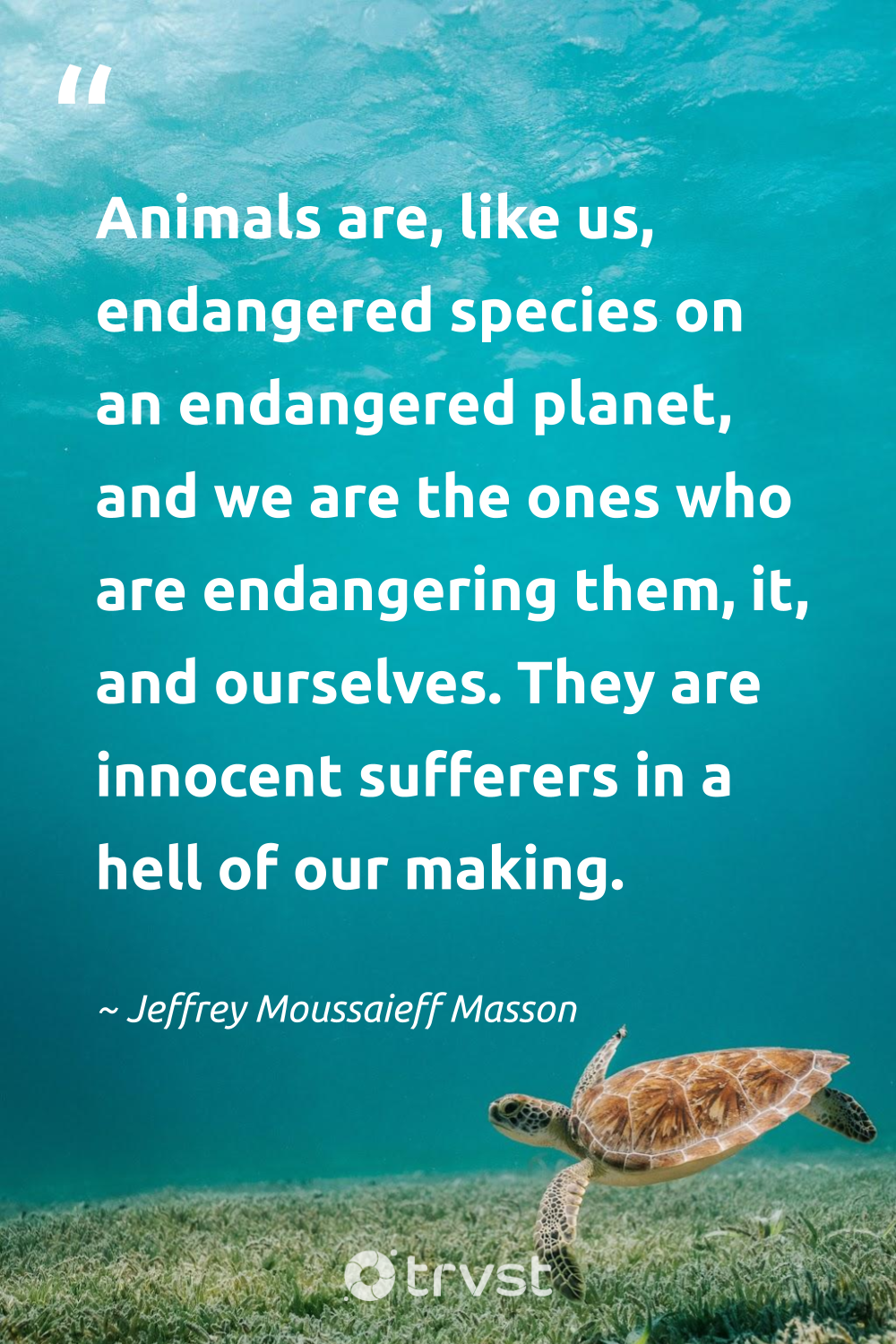 40 Biodiversity Quotes Celebrating And Protecting All Life