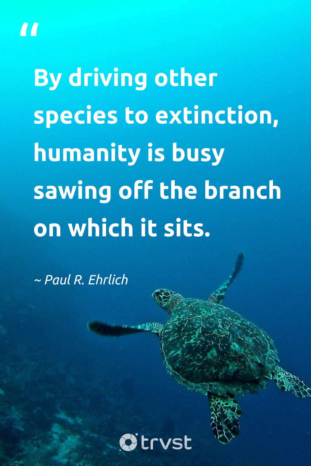 40 Biodiversity Quotes Celebrating And Protecting All Life