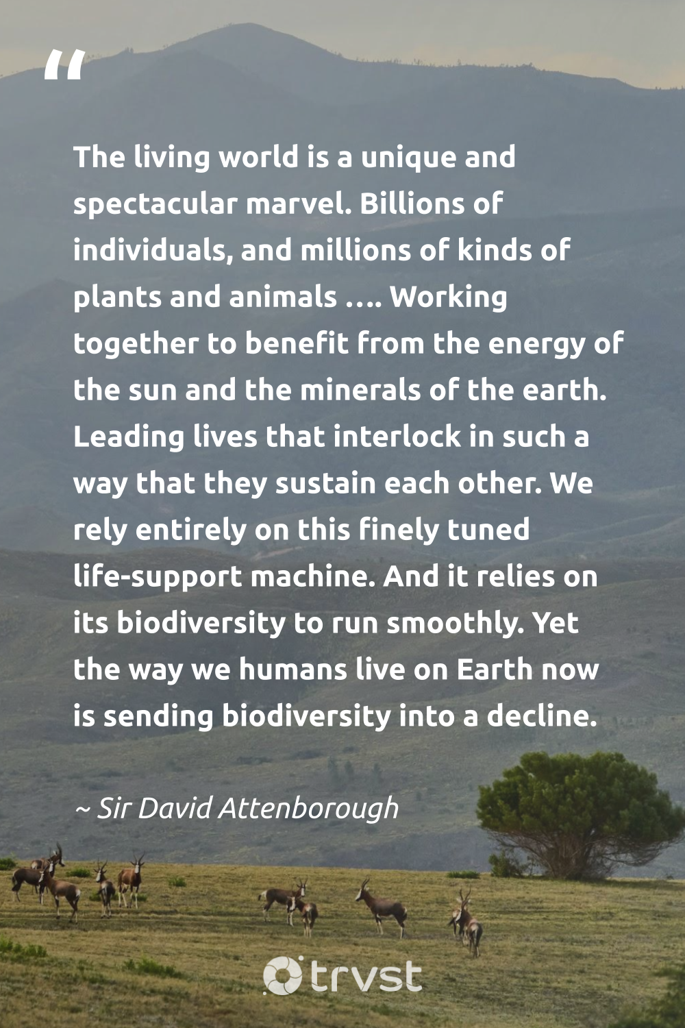 40 Biodiversity Quotes Celebrating And Protecting All Life