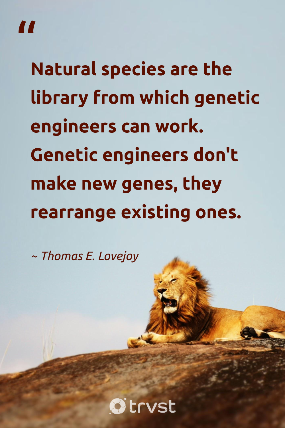 40 Biodiversity Quotes Celebrating And Protecting All Life