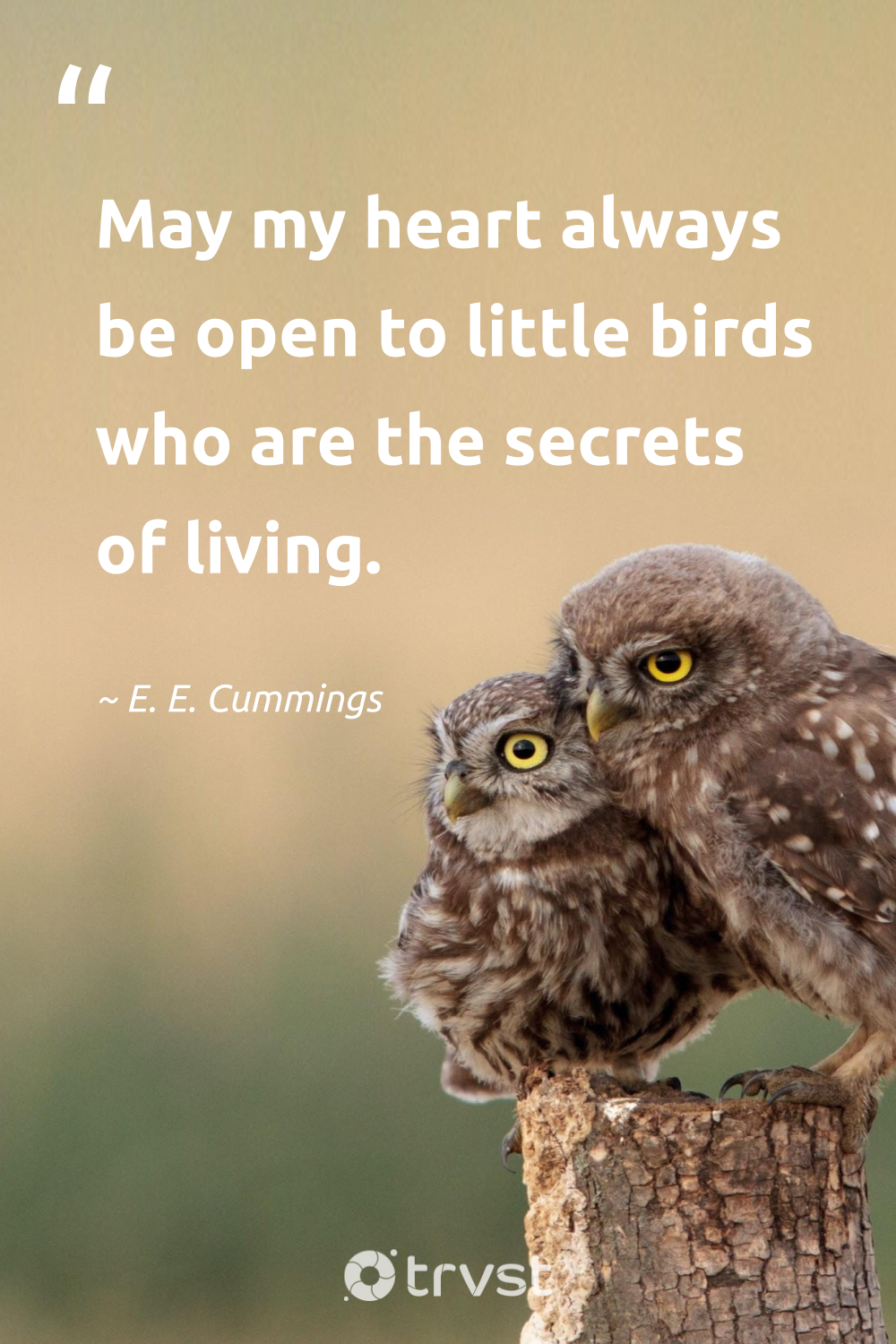 86 Bird Quotes And Sayings About Freedom And More (2024)