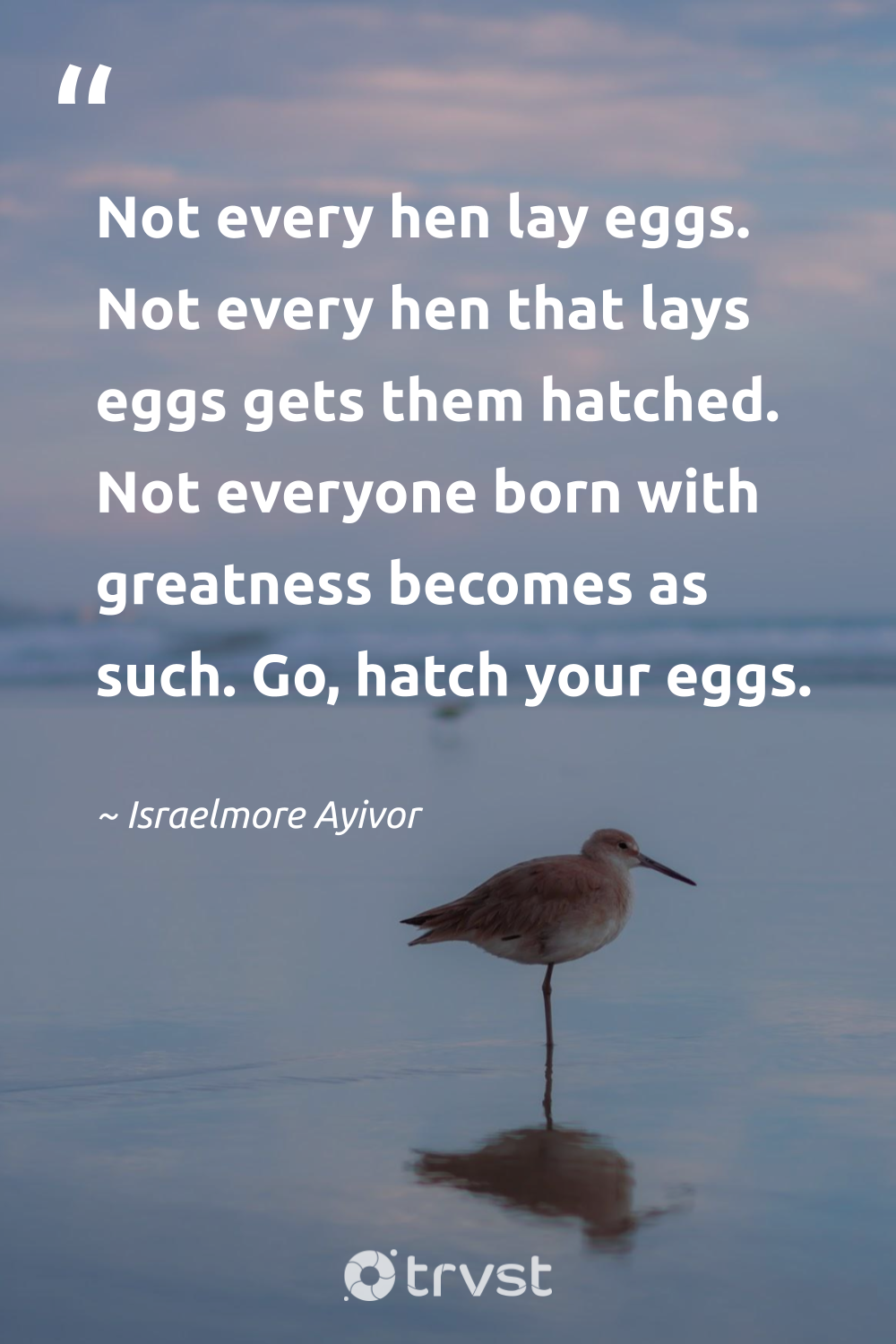 86 Bird Quotes And Sayings About Freedom And More (2024)