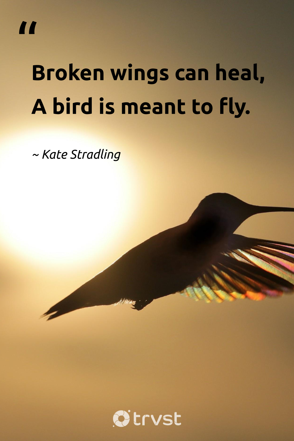 86 Bird Quotes And Sayings About Freedom And More (2024)