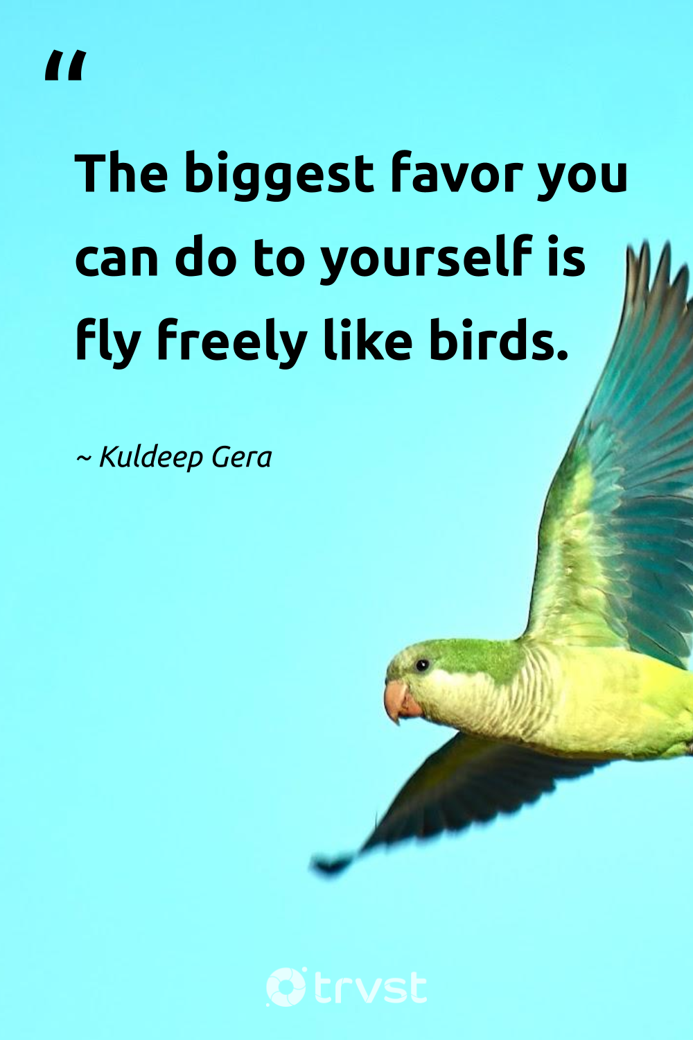86 Bird Quotes And Sayings About Freedom And More (2024)