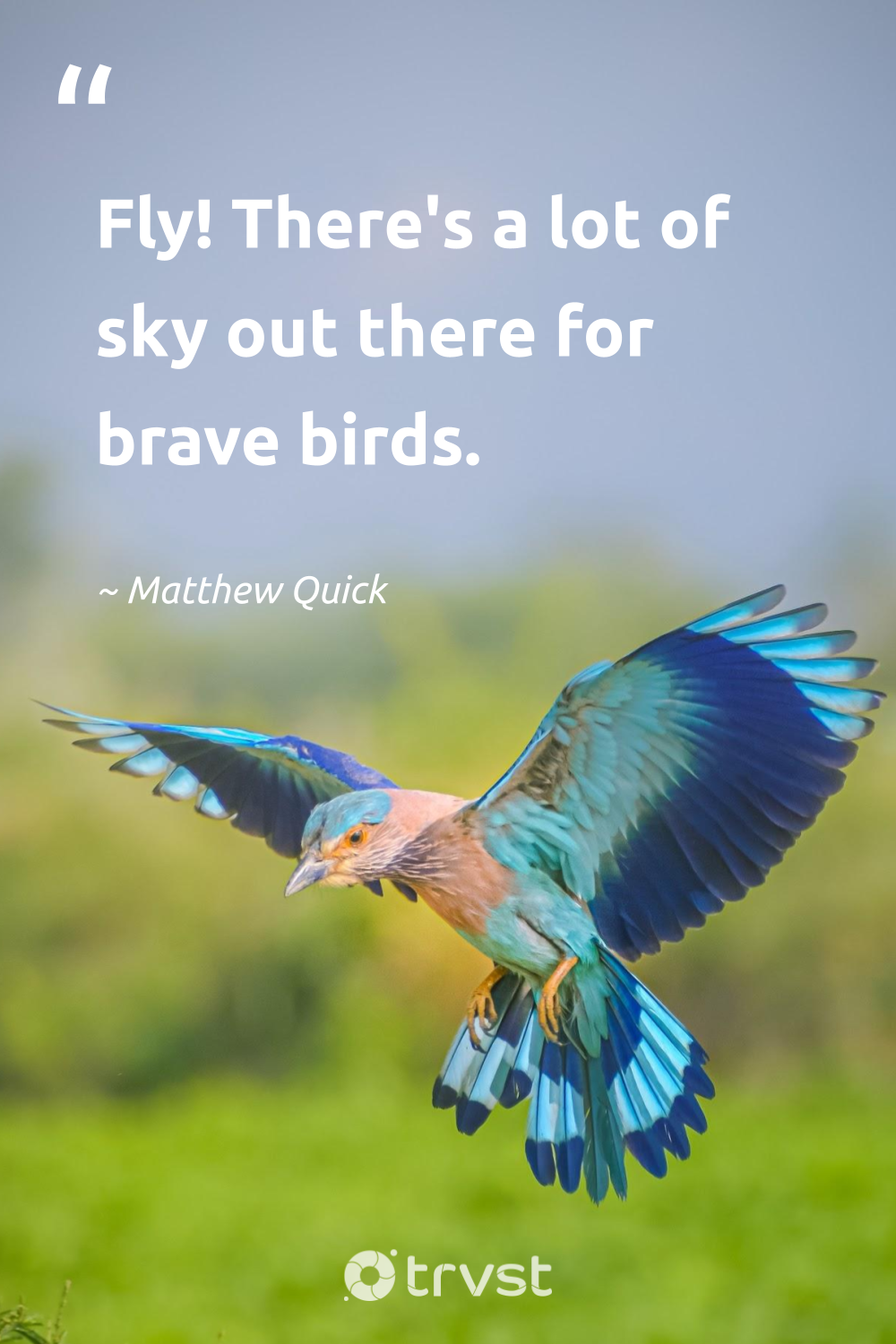86 Bird Quotes And Sayings About Freedom And More (2025)