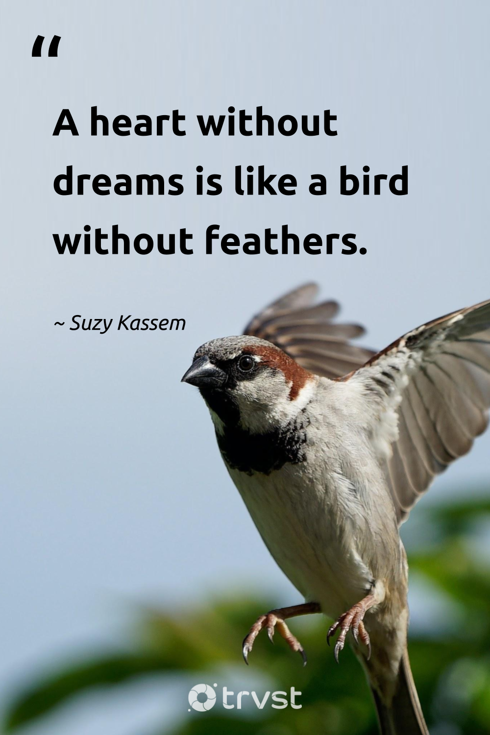 86 Bird Quotes And Sayings About Freedom And More (2025)