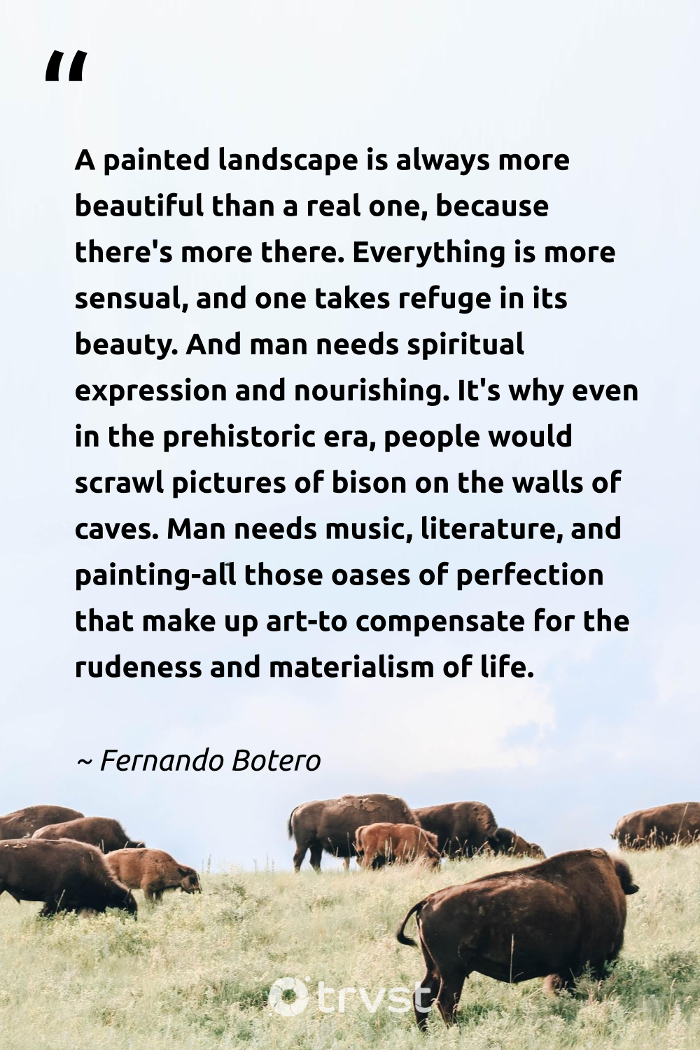 7 Bison Quotes About The Humongous Bovines