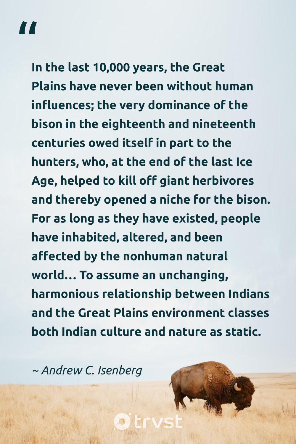 18 Buffalo Quotes About The Robust Bovids