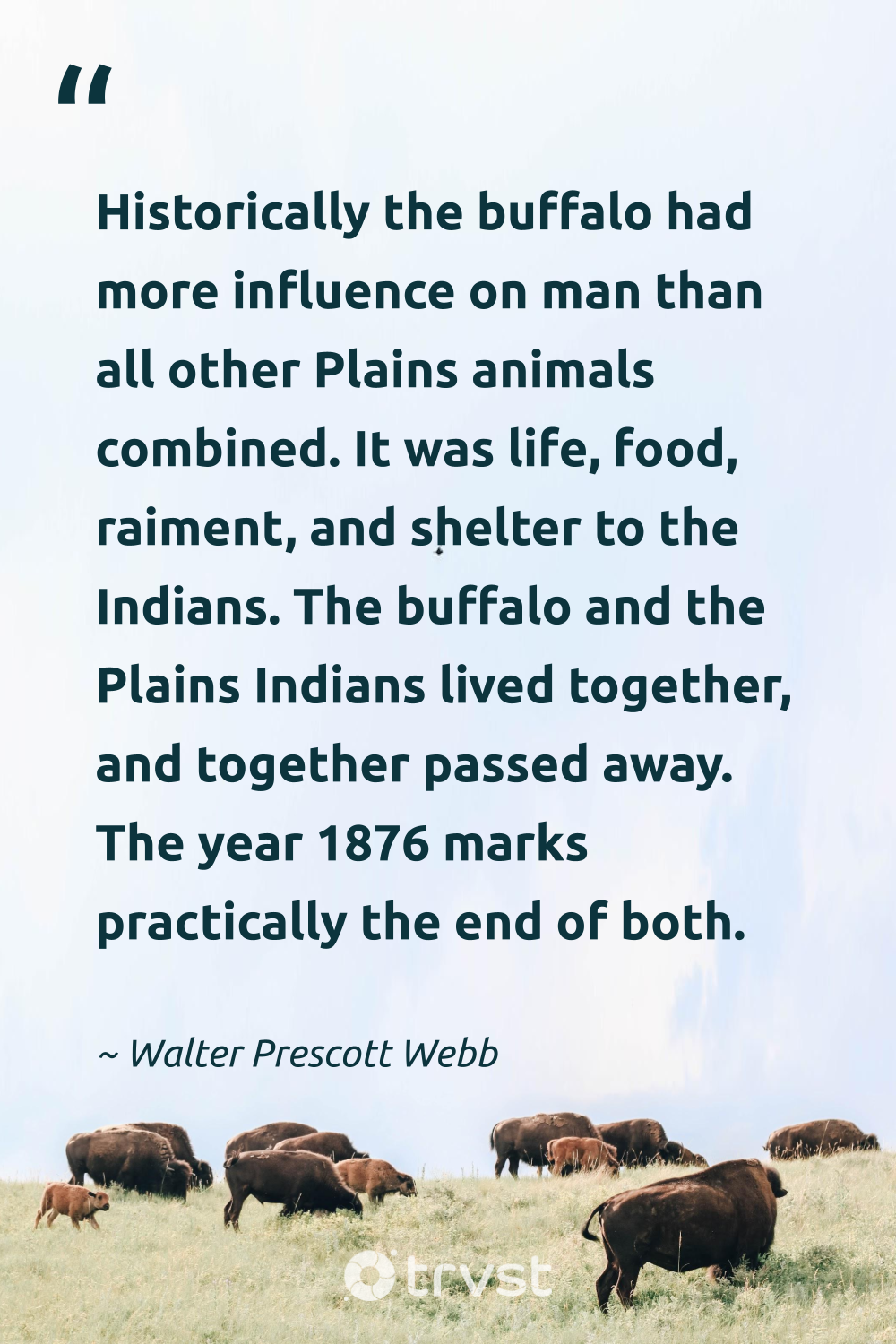 18 Buffalo Quotes About The Robust Bovids