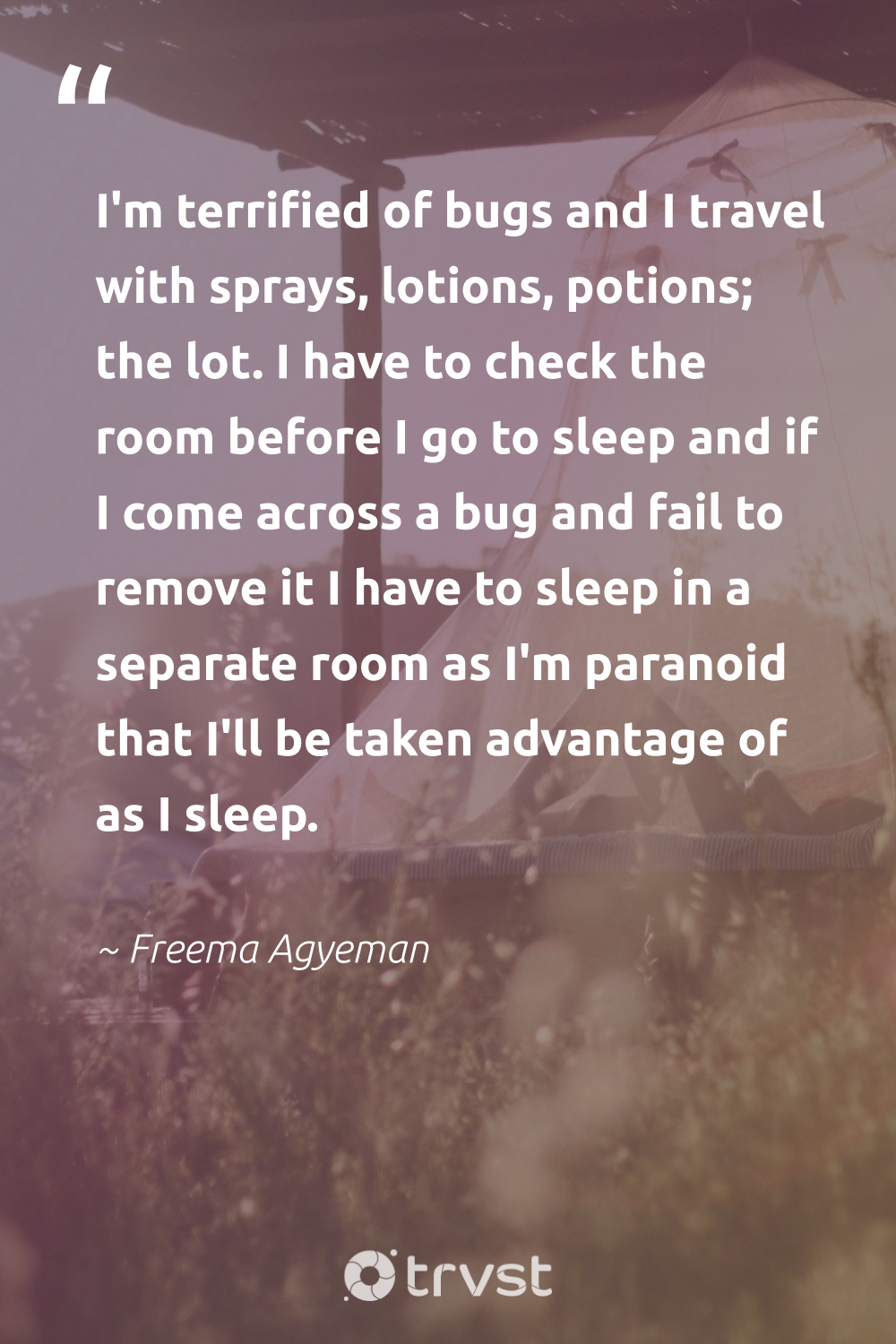 33 Bug Quotes for Insect Lovers and Buggy Life Moments (2024)